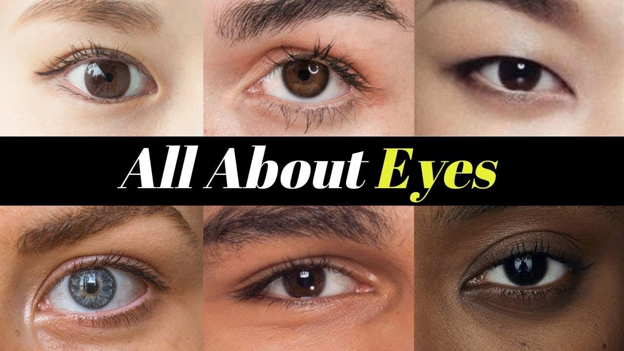 Types Of Eye Shapes (Illustration)