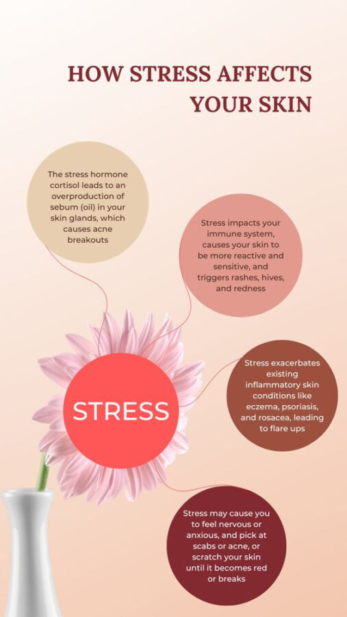 How Stress Affects Your Skin? (InfoVis)