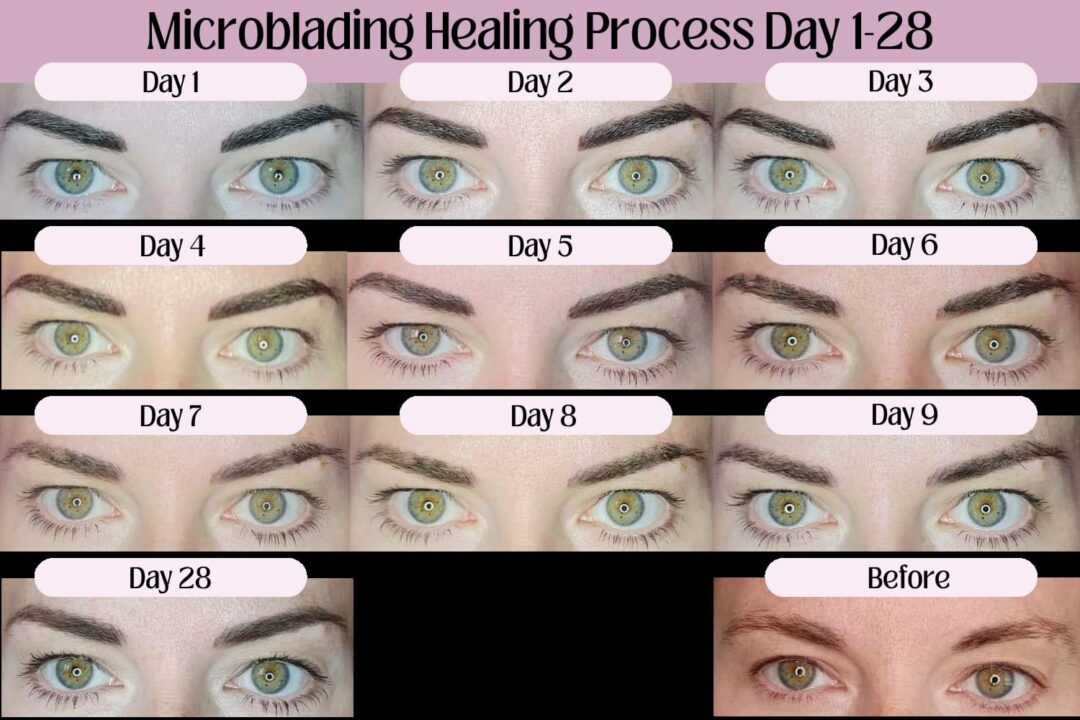 Eyebrow Tattoo Healing Process Pictures Day By Day
