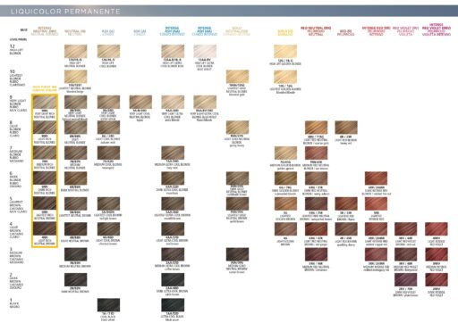 Clairol Soy Plex Hair Color Chart Explained