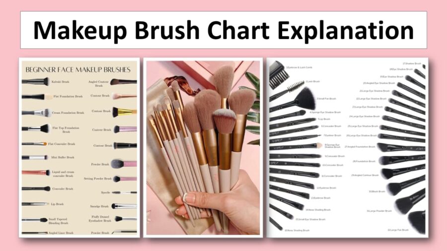 Makeup Brush Chart Explained