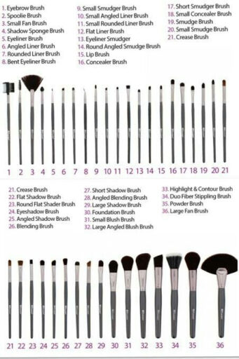 Makeup Brush Chart Explained