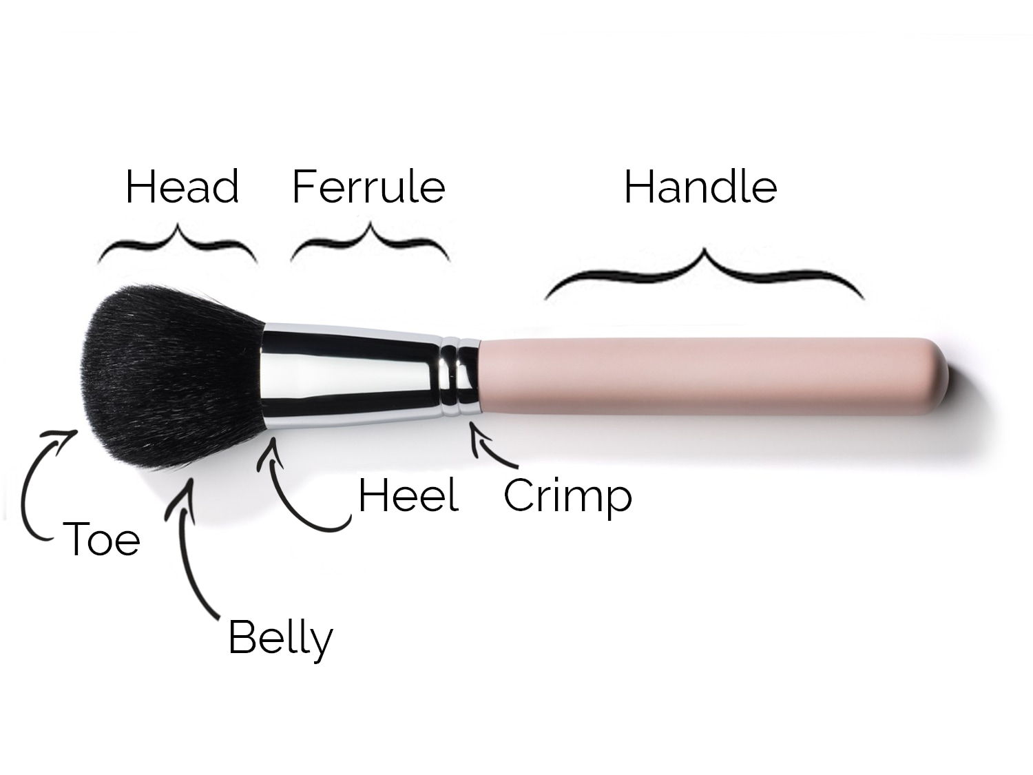 Ferrule Makeup Brush Explained